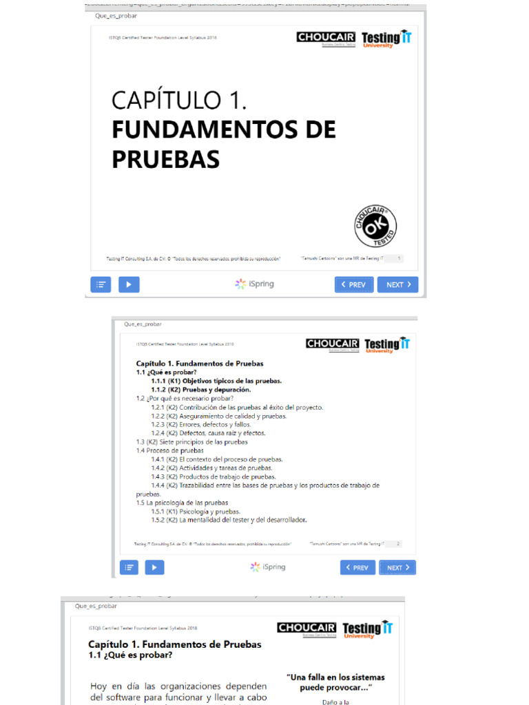 Capi-Que Es Probar | PDF