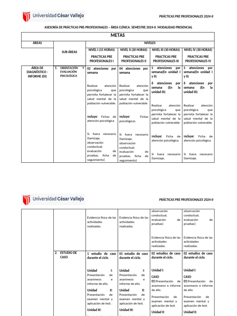 Metas - Área Clínica 2024-II | PDF