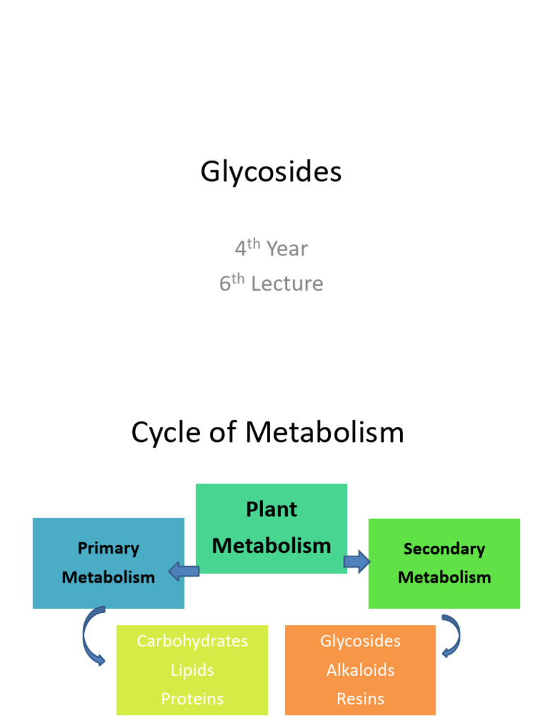 Glycosides | PDF