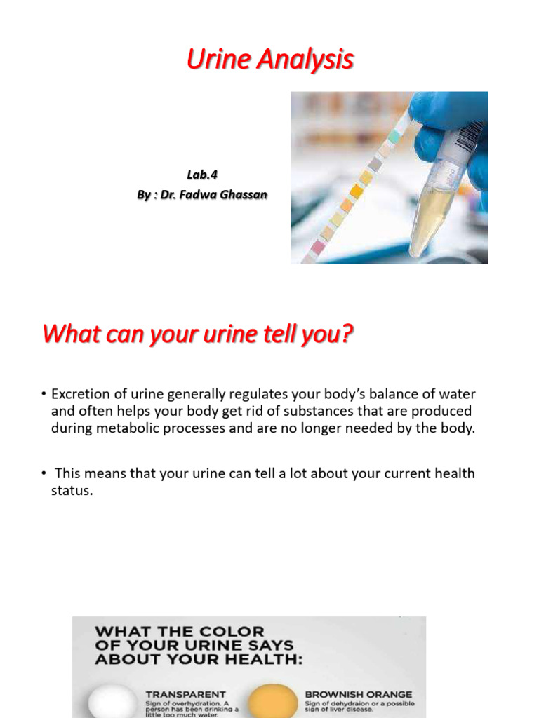 Urine Analysis-LAB.4 | PDF