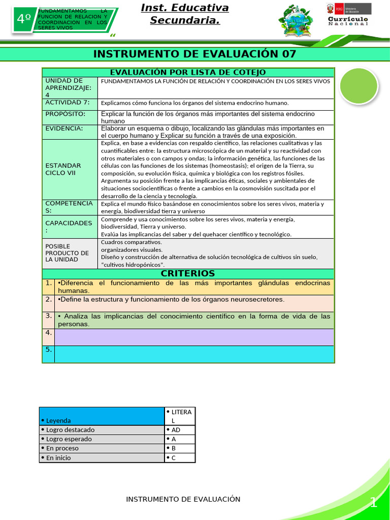 D-4º LC Act 7 - Cyt-Und 4 | PDF