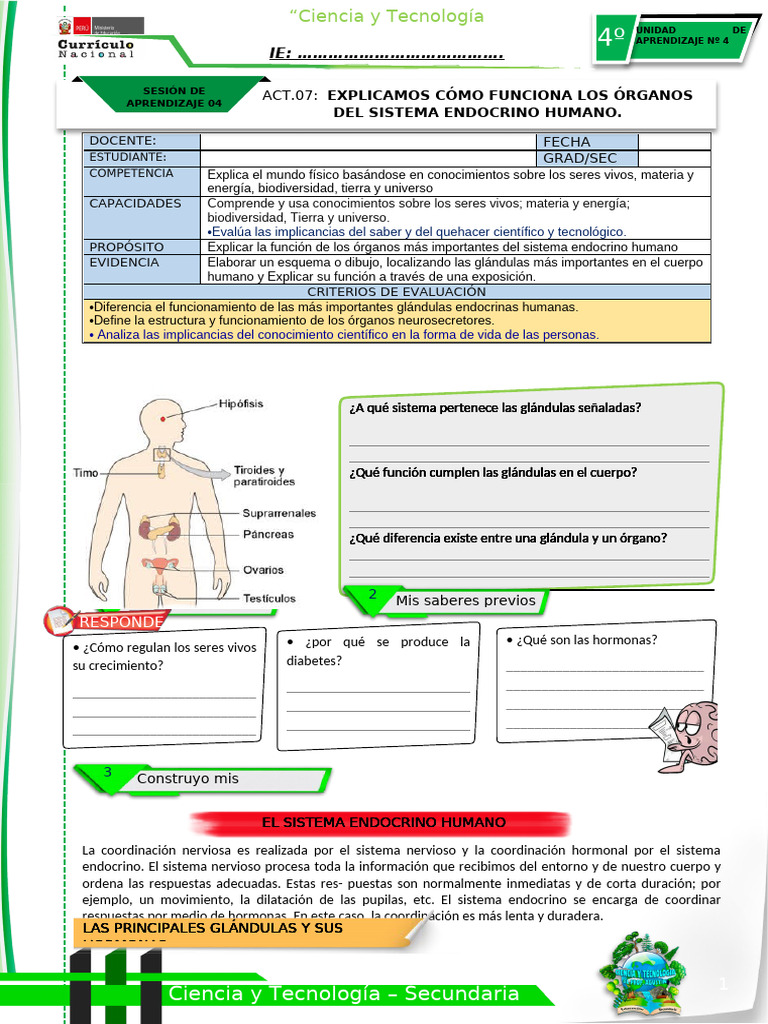 D-4º Act 7-Cyt-Und 4 | PDF