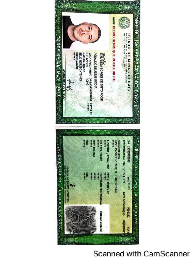 RG Pedro Henrique | PDF