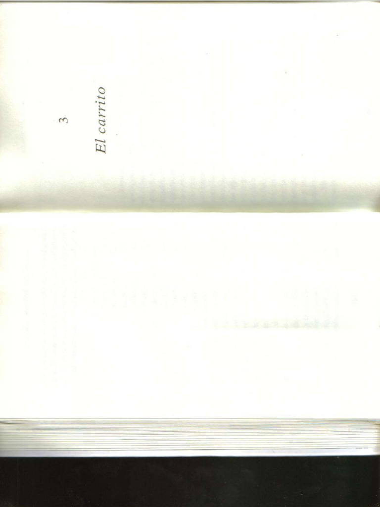 Mariana Enriquez El Carrito | PDF