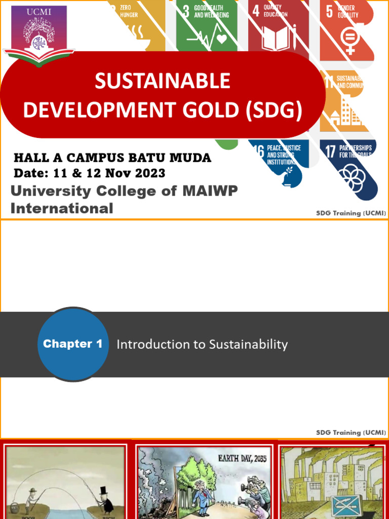 SDG Training Slides - Participant | PDF | Sustainability | Self Actualization