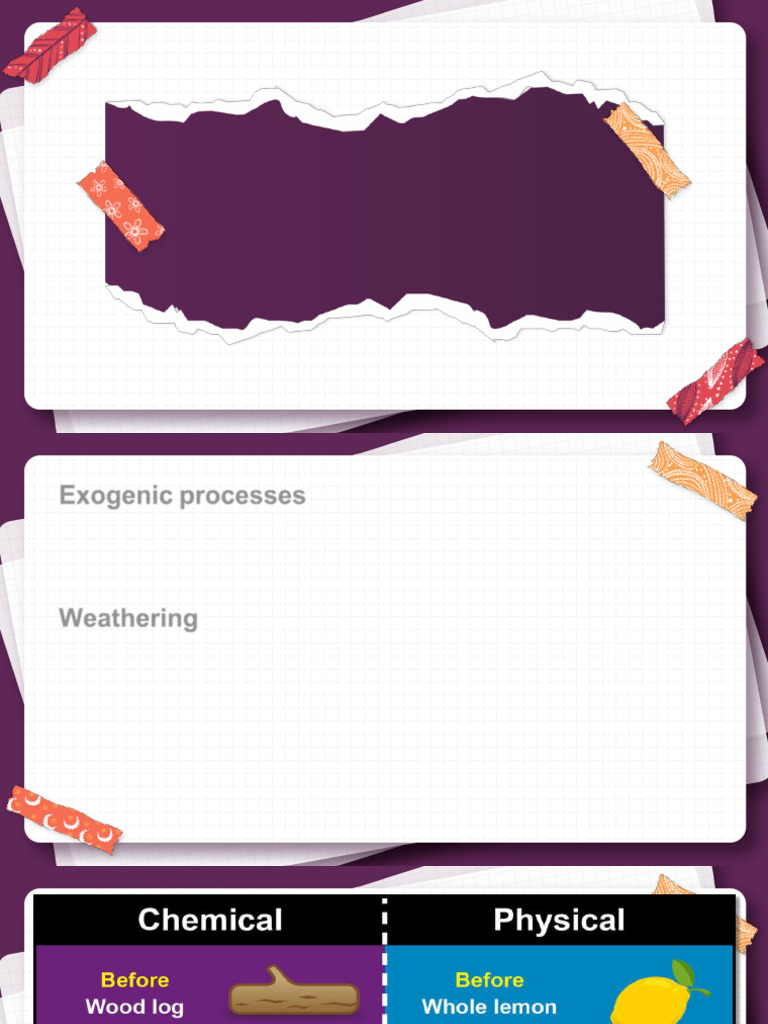 Els Midterm LC5 Exogenic Processes | PDF