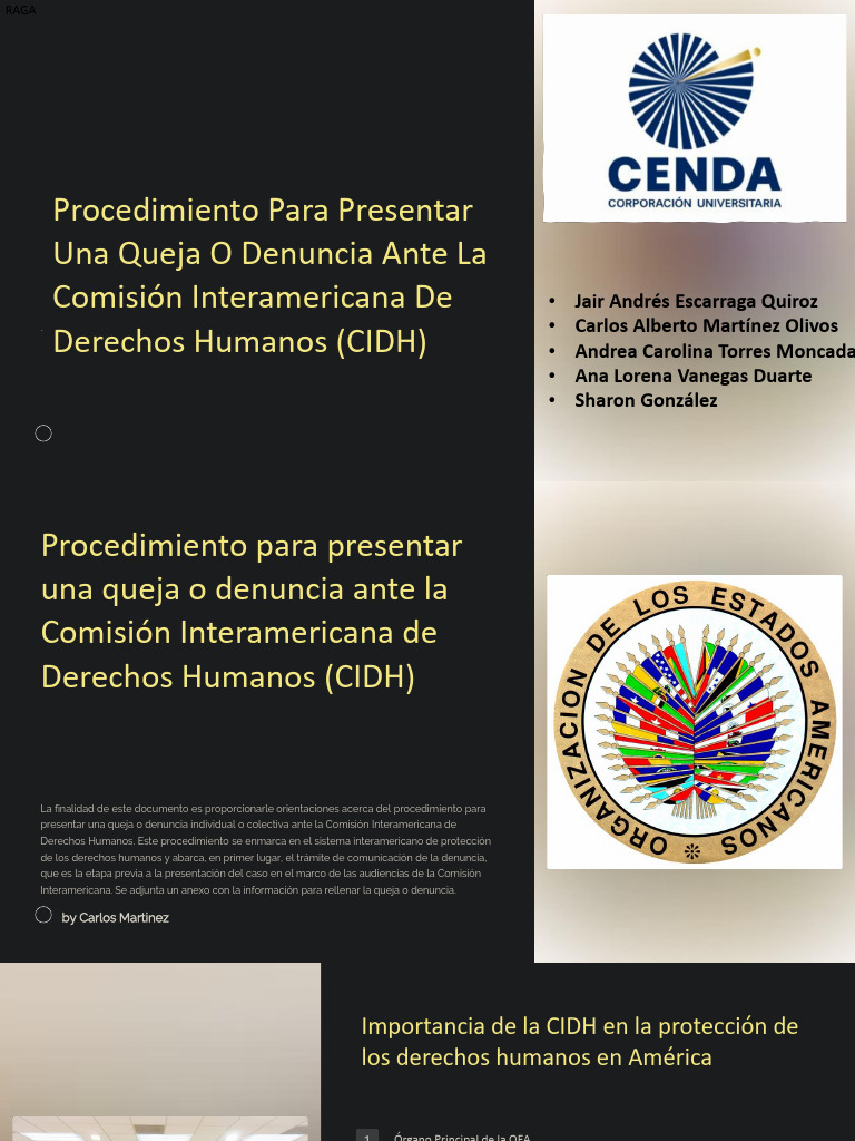Procedimiento-para-presentar-una-queja-o-denuncia-ante-la-Comision-Interamericana-de-Derechos ...