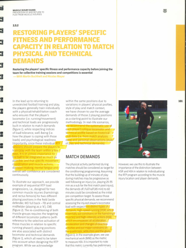 Muscle Injury Guide Parte 2 | PDF