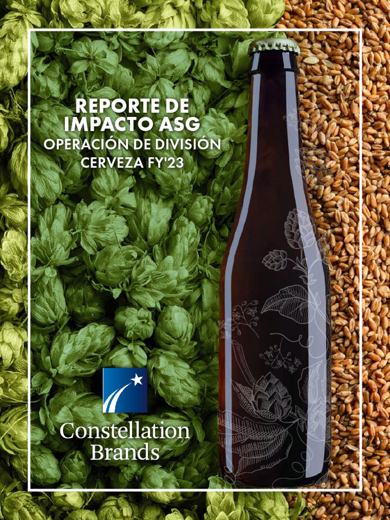 Reporte de Impacto Asg Fy23 Final-Baja Resolucion Ene12 | PDF