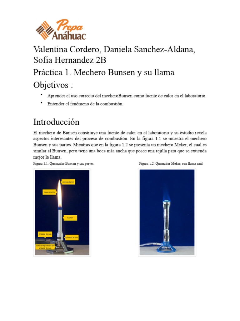 Química II Practica 1. Mechero Bunsen | PDF