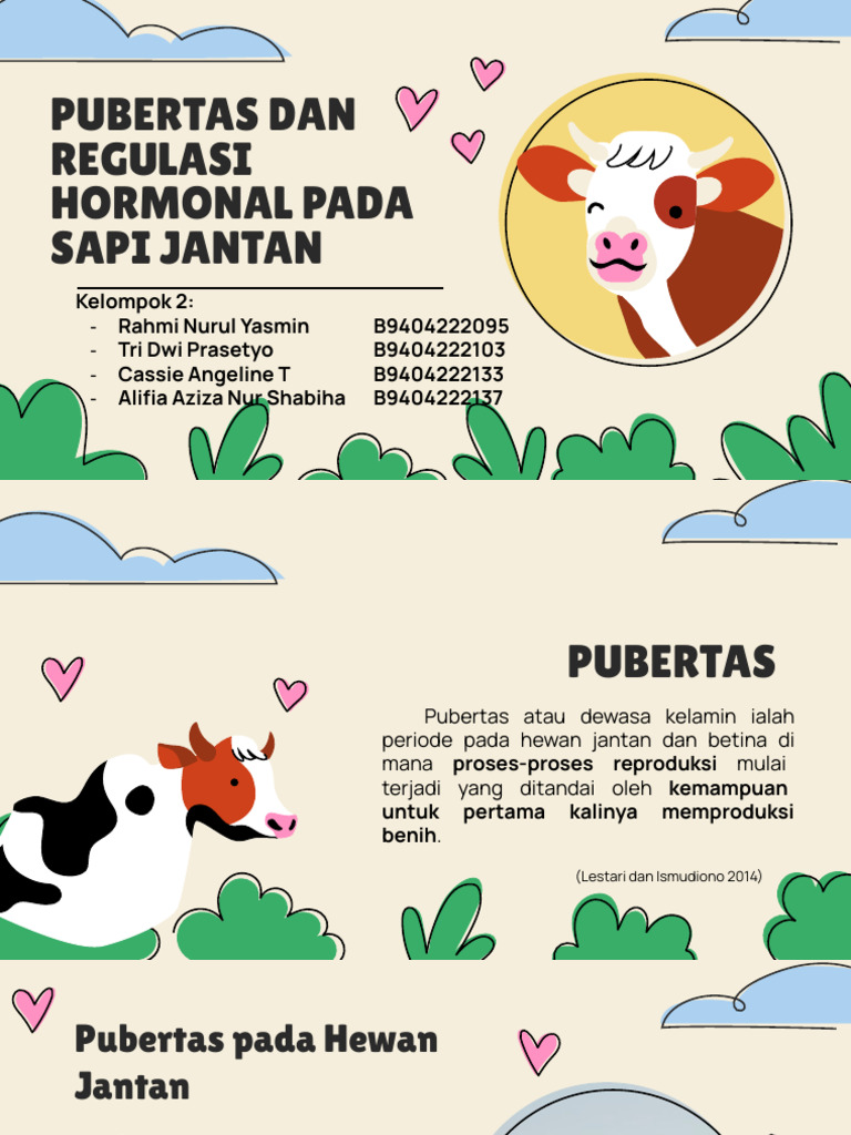 Pubertas Dan Regulasi Hormon | PDF