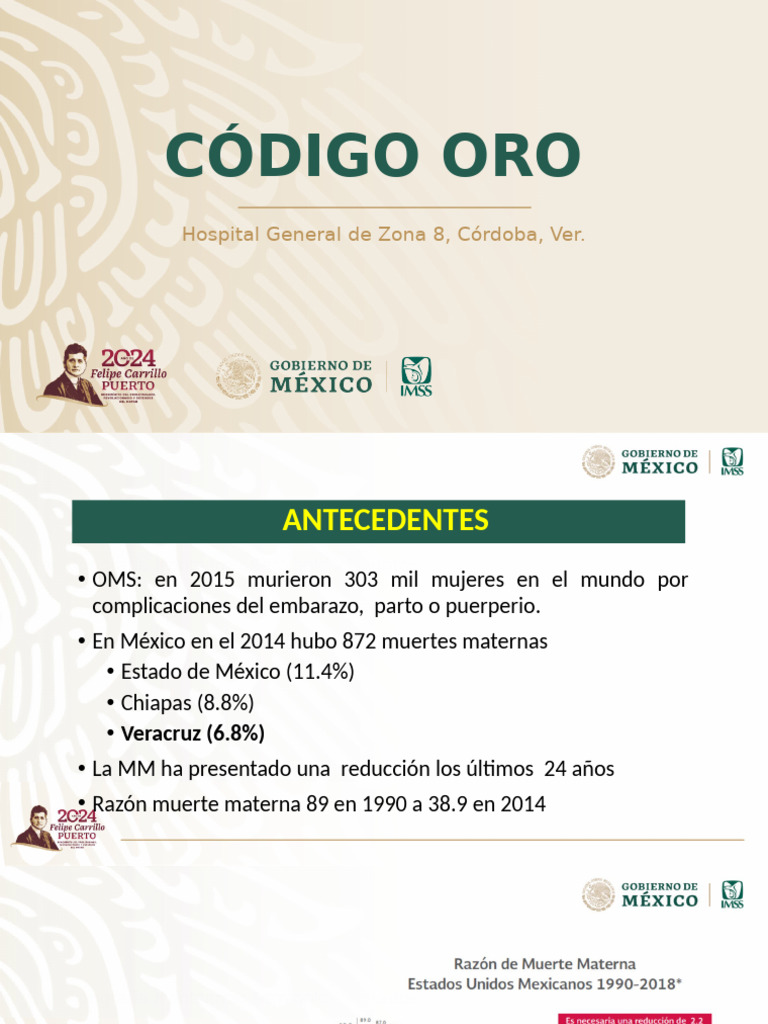 Codigo Oro 2024 | PDF