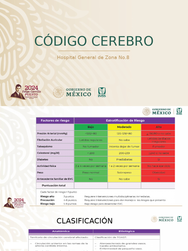 Codigo Cerebro 2024 | PDF