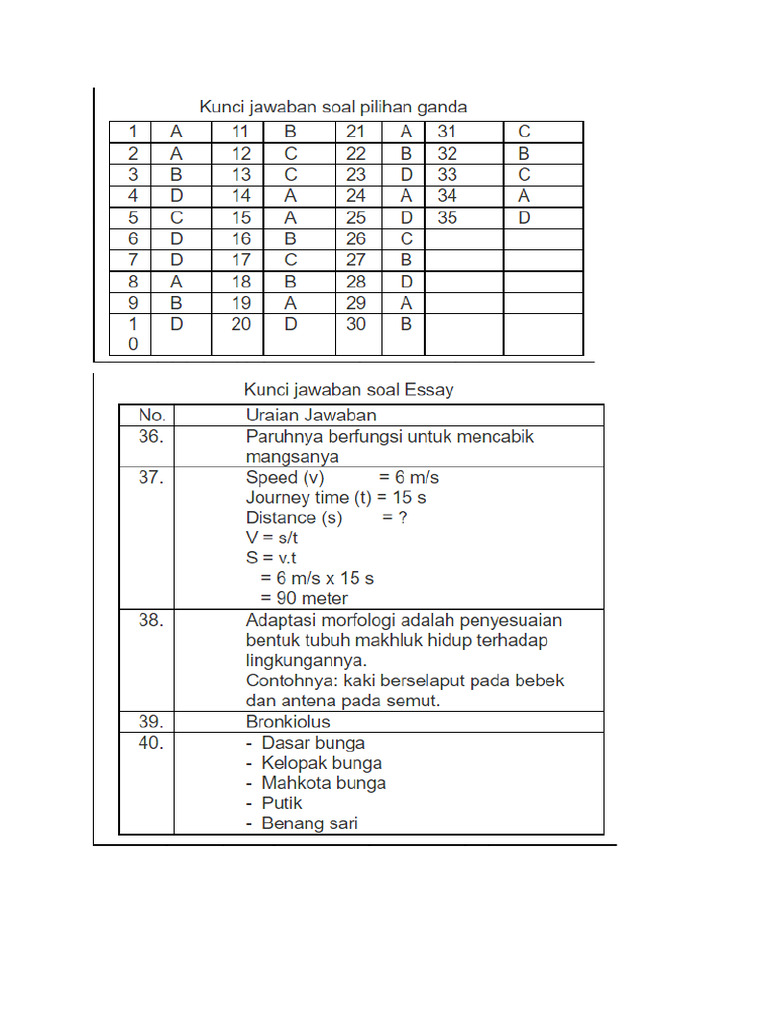 Jawaban Soal KSN | PDF