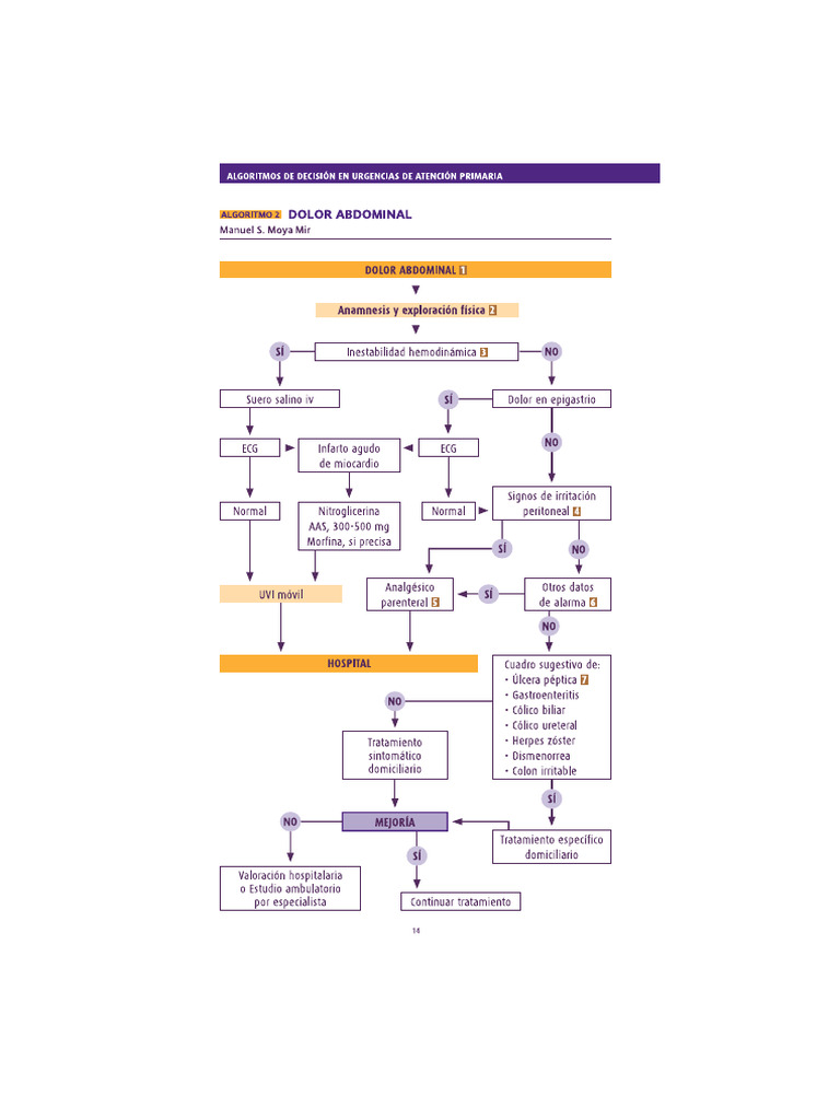 Ejemplo Algoritmo | PDF