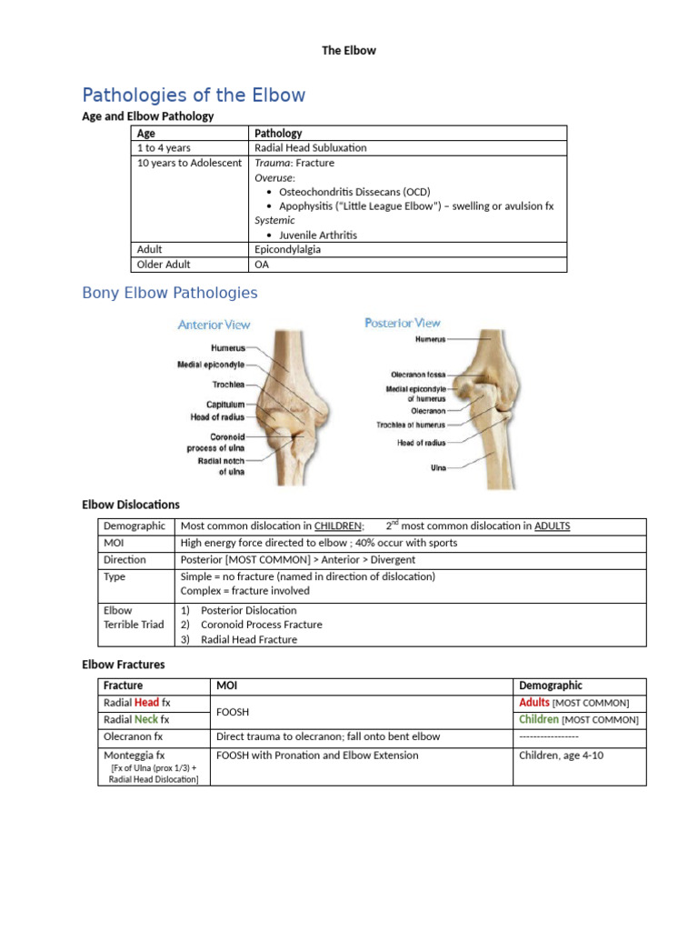 7 Elbow MSK | PDF