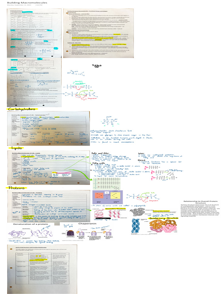 Building Macromolecules | PDF
