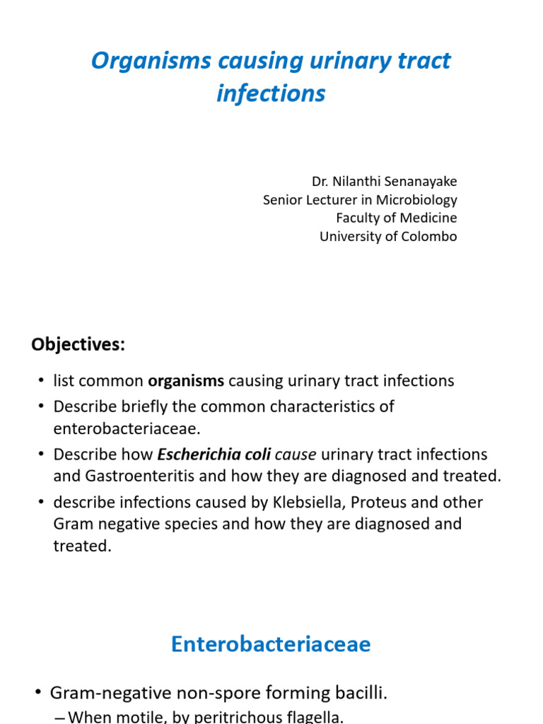 Organisms Causing UTIs | PDF | Urinary Tract Infection | Wellness
