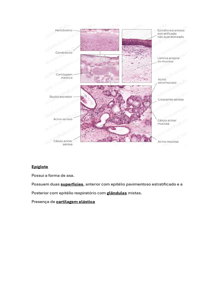 Documento (4)-mesclado | PDF