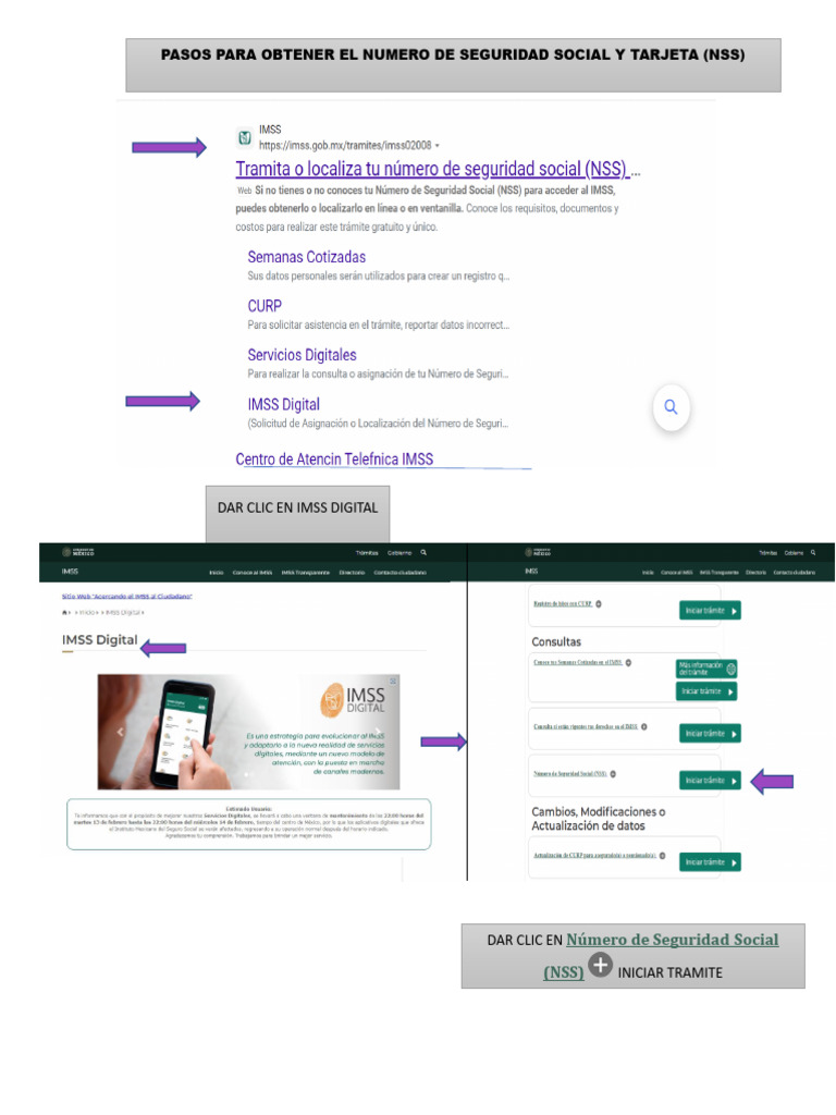 Pasos para Obtener NSS | PDF