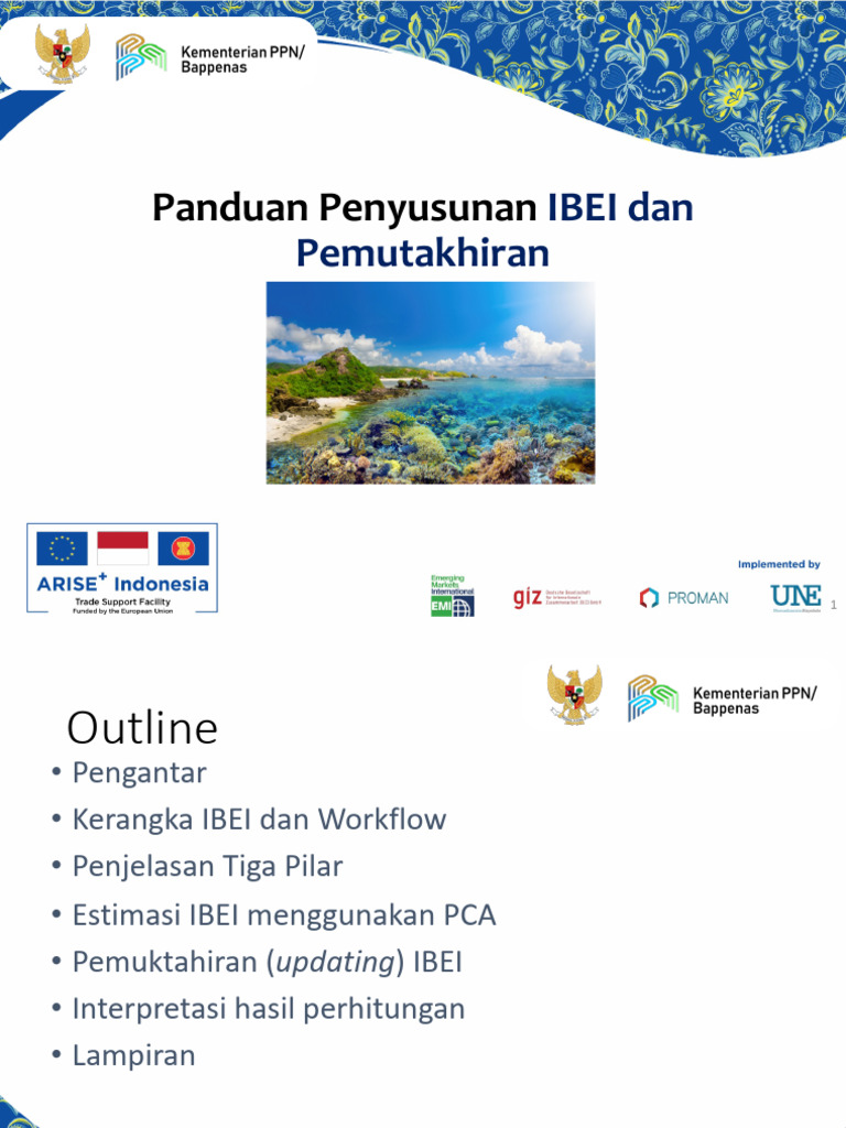 Panduan Dan Pemutakhiran IBEI | PDF