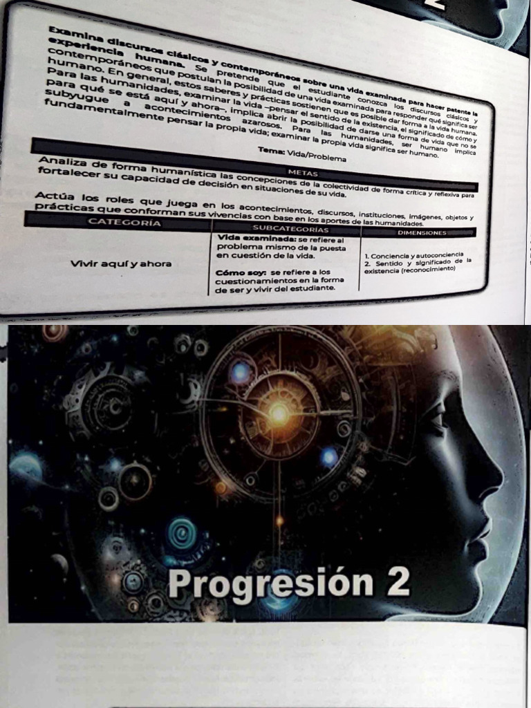 progresión 2 vida y problema | PDF