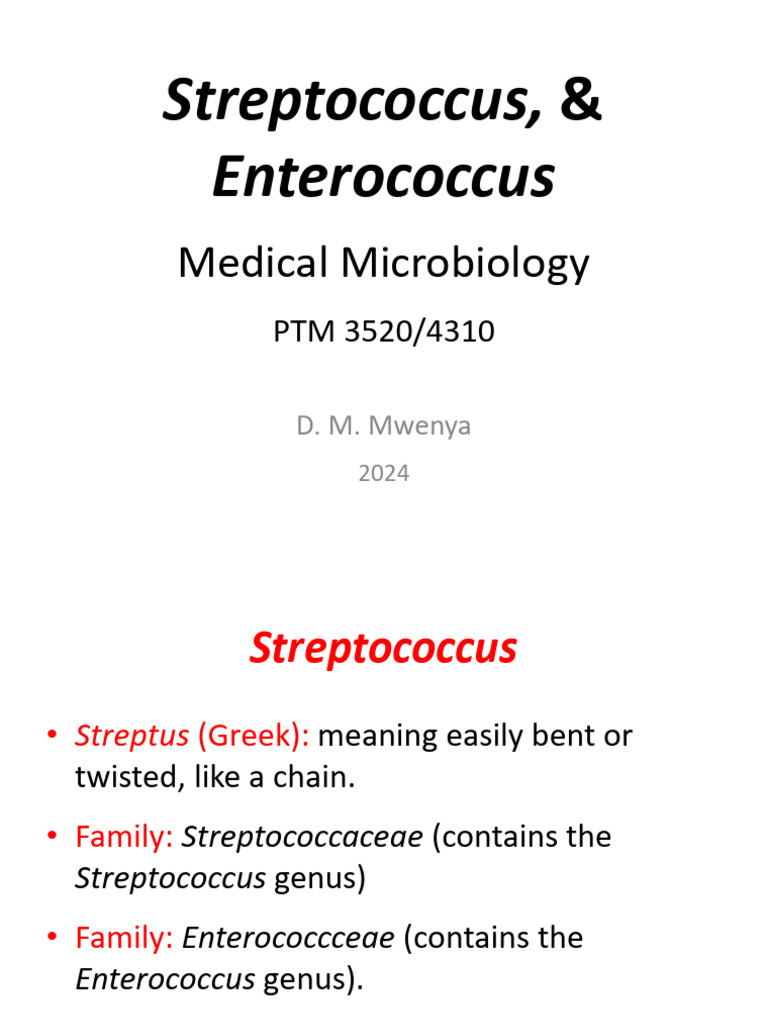 3C Streptococci | PDF