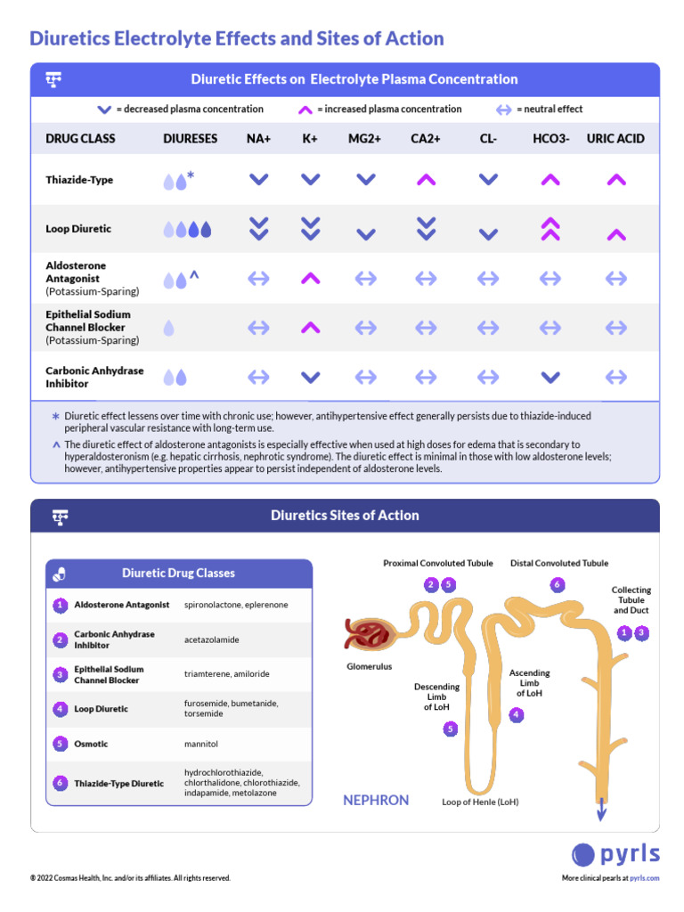 Diuretic Plasma Concentration Chart | PDF
