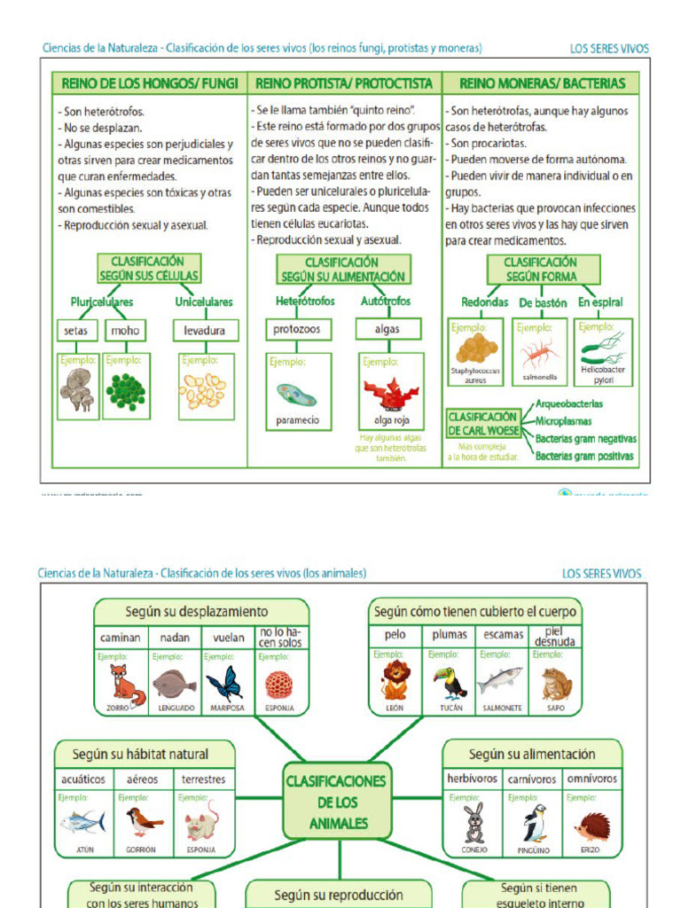 Clasificación de Los Seres Vivos 5 Reinos | PDF