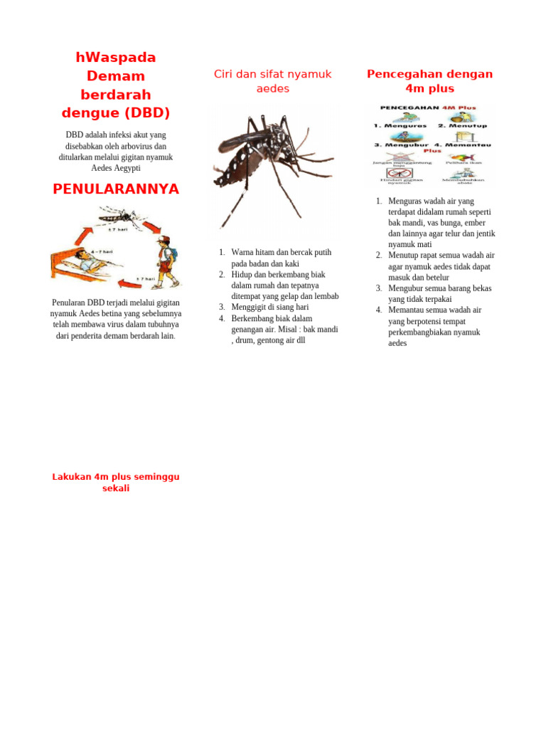 Leaflet DBD | PDF