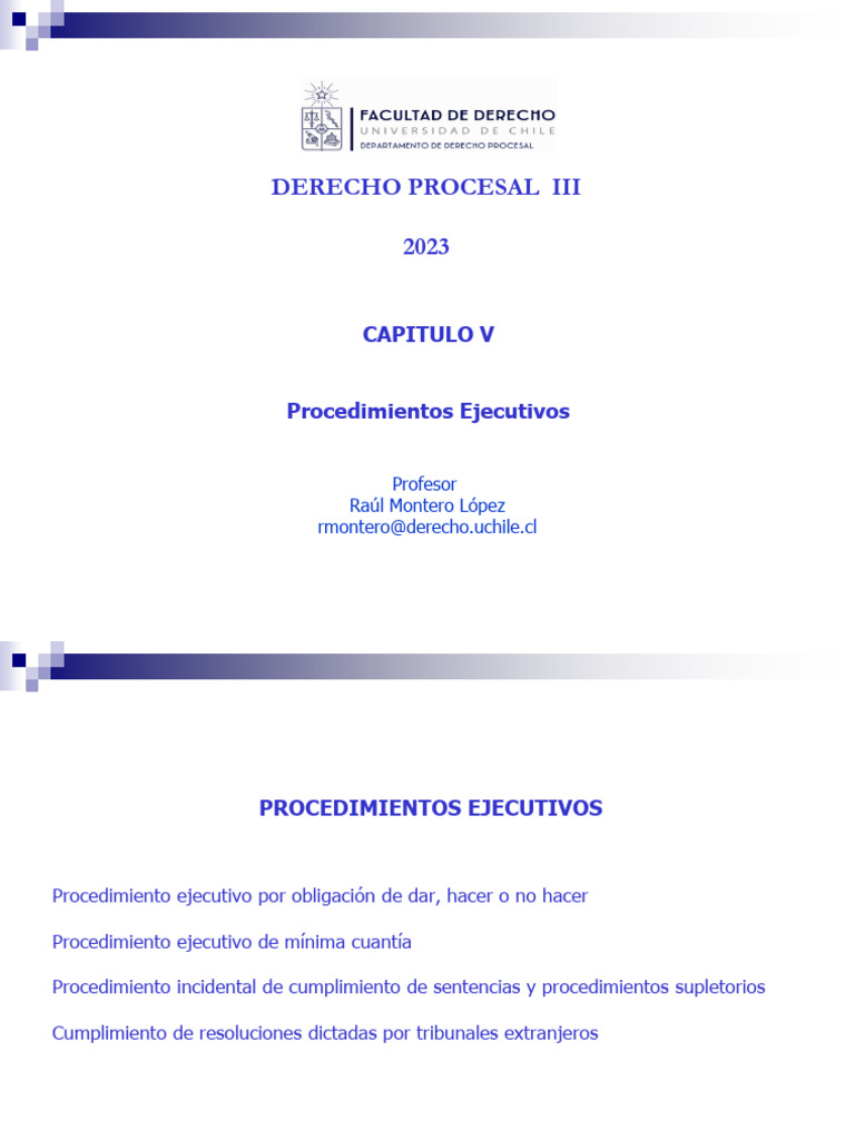 Procedimientos Ejecutivos Organized | PDF