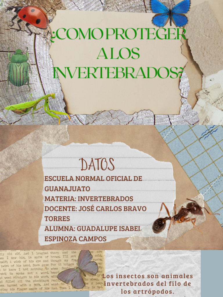 Presentación Insectos Benéficos Vintage Scrapbook Beige y Azul | PDF | Ciencia y matemáticas