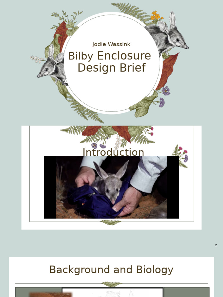 Bilby Enclosure Design Brief | PDF