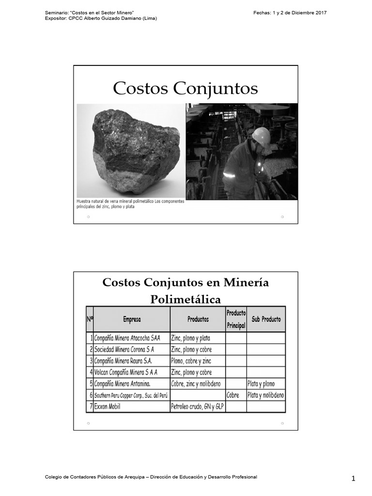 Costos Conjuntos | PDF