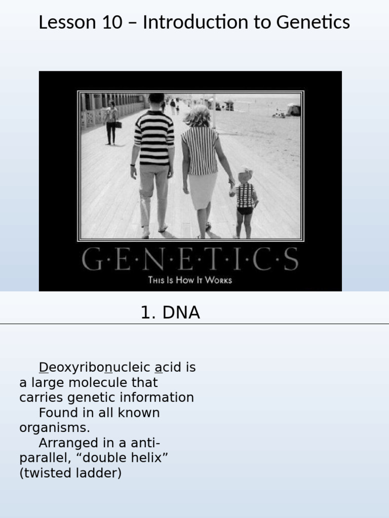 Genetics Lessons | PDF