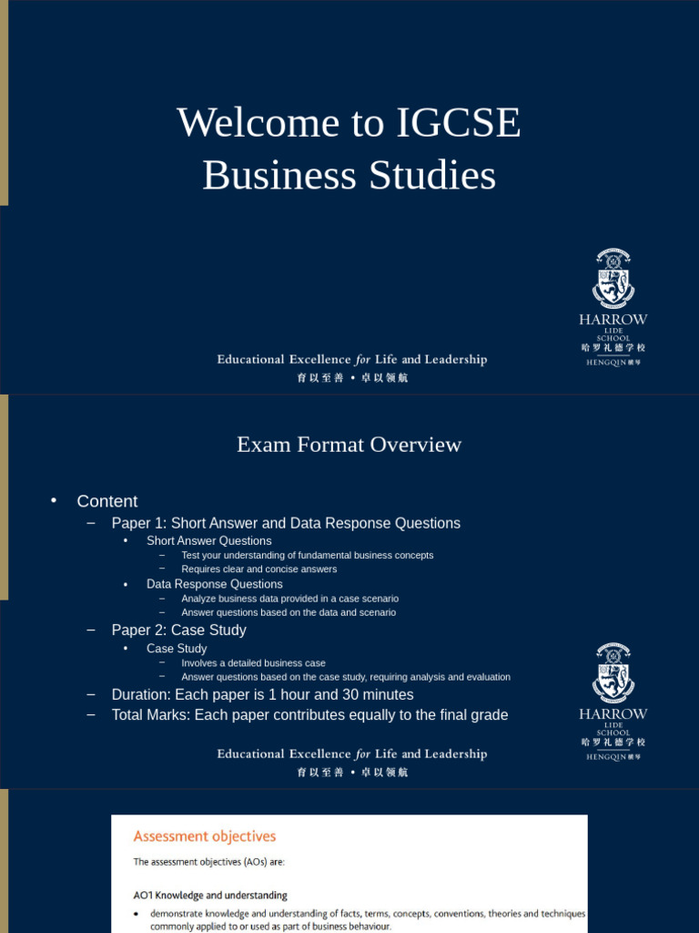 IGCSE Business Studies Introduction | PDF