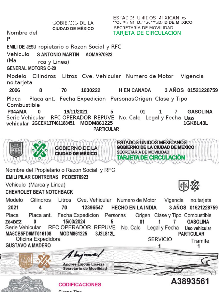 Tarjeta CDMX Formato Nuevo | PDF | México | Coche