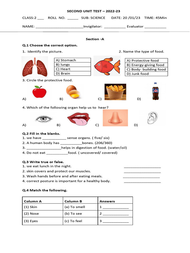 Science Class 2 UT | PDF