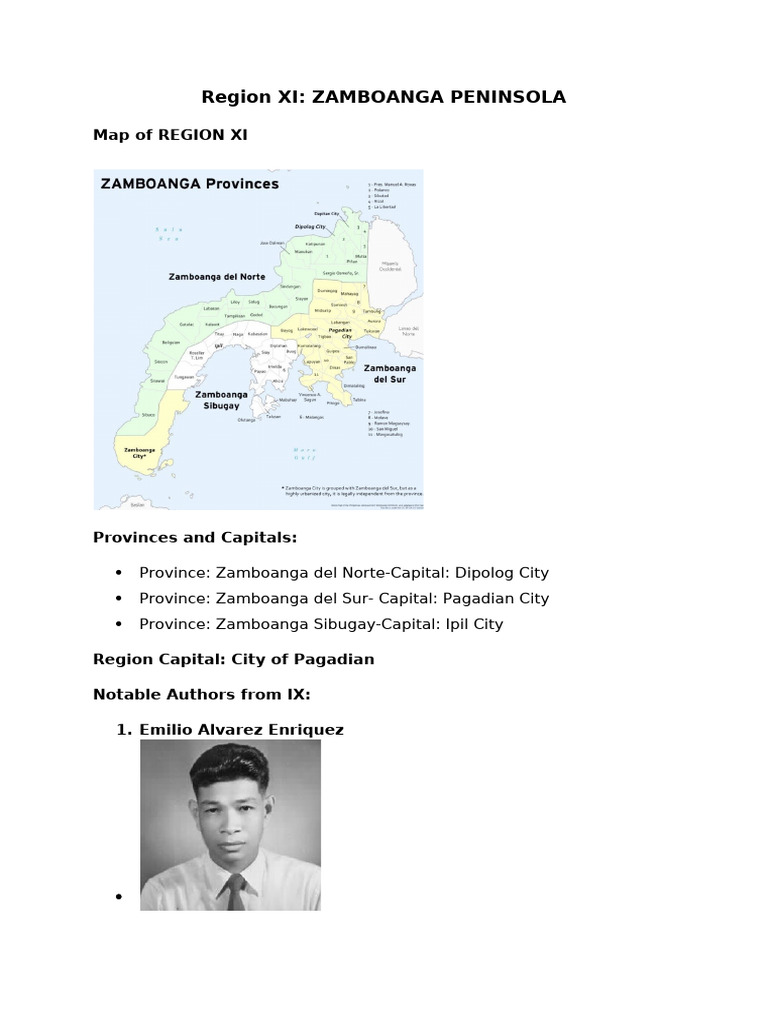 Region-IX-STEM-A | PDF