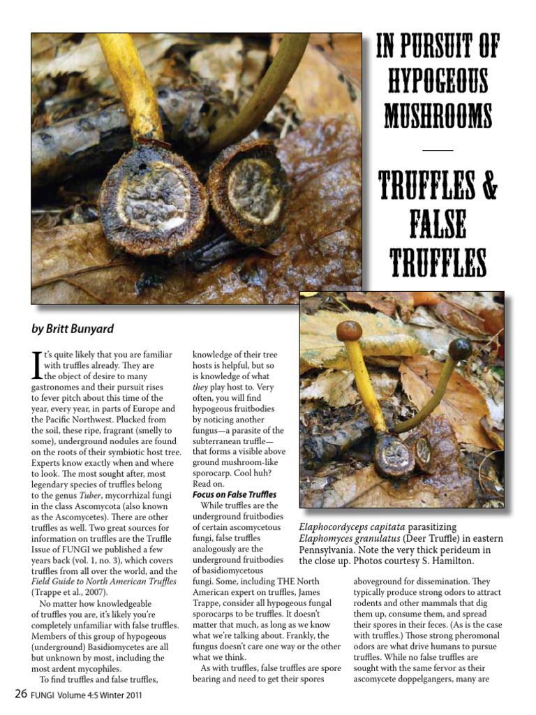 Fungi Enthusiasts' Guide to Truffles | PDF | Fungus | Home & Garden
