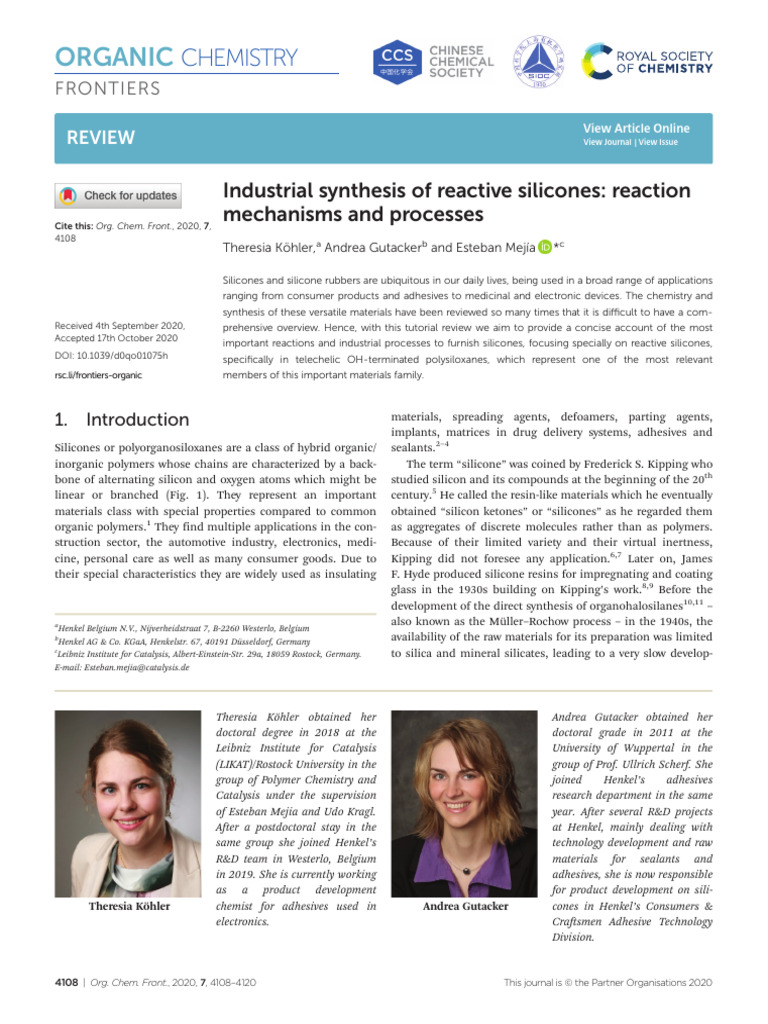 2020 - OCF - REVIEW - Silicon Industry - OJOOO | PDF