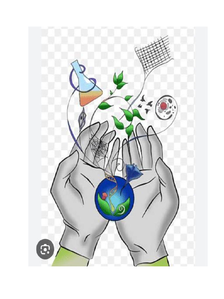 Documento (19) . | PDF