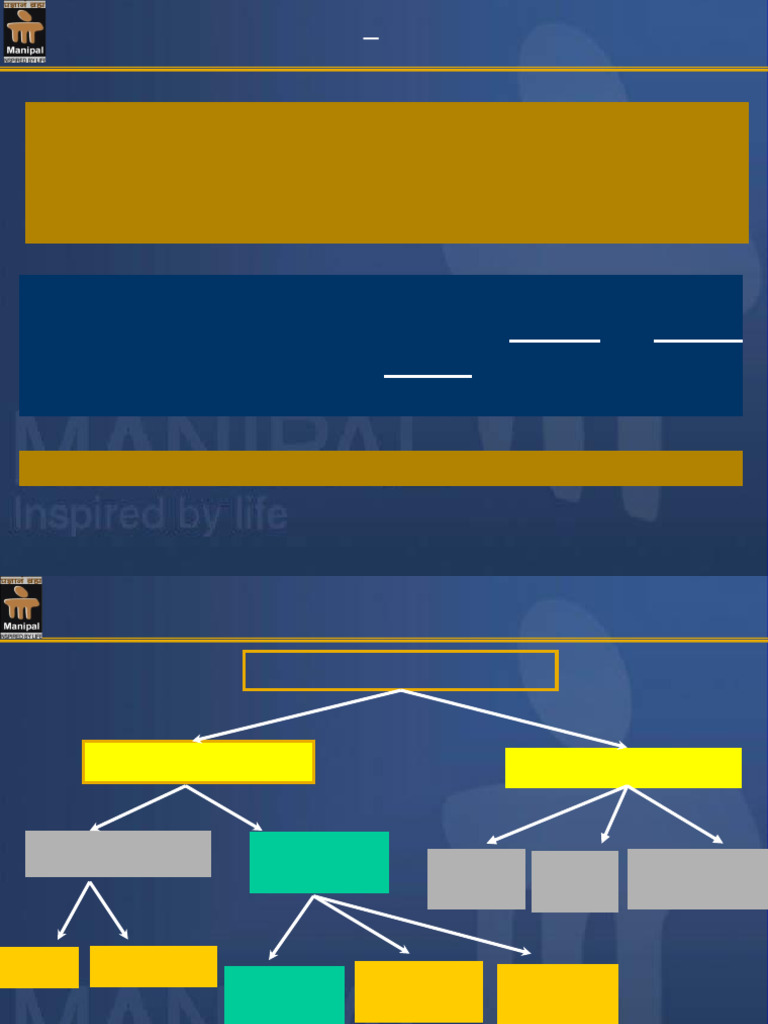 1ST Meeting Presentation Strema | PDF