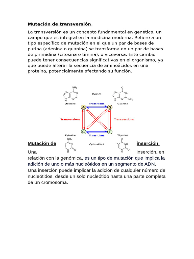 Mutación de Transversión | PDF