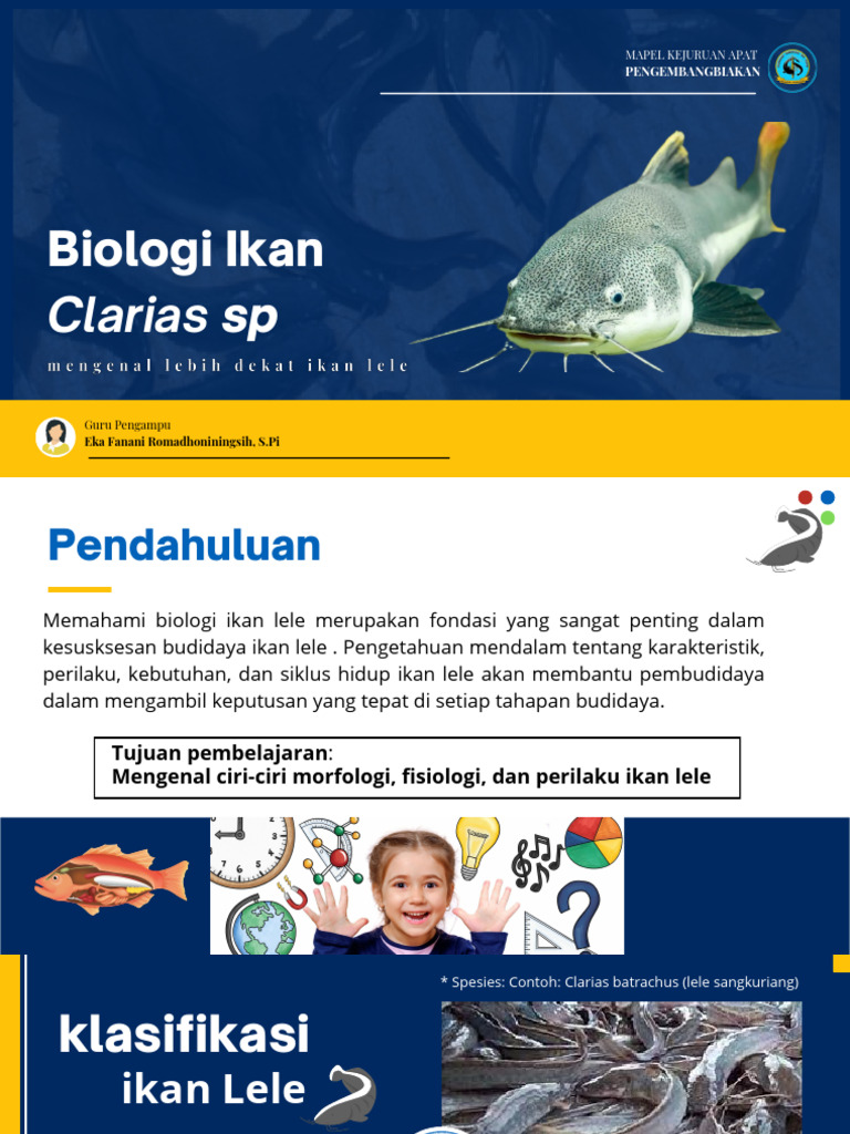 2. Biologi Ikan lele | PDF