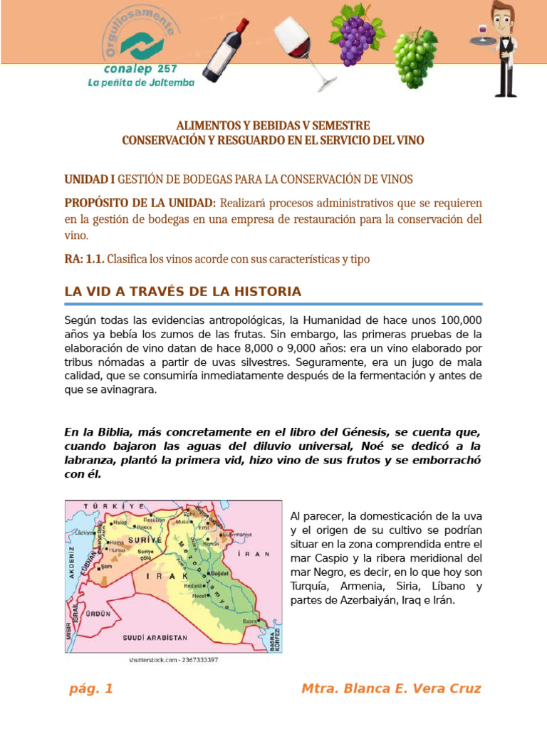 INTRODUCCION_HISTORIA DEL VINO.pdf | PDF