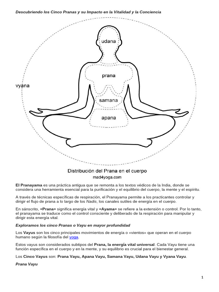 Descubriendo Los Cinco Pranas y Su Impacto en La Vitalidad y La ...