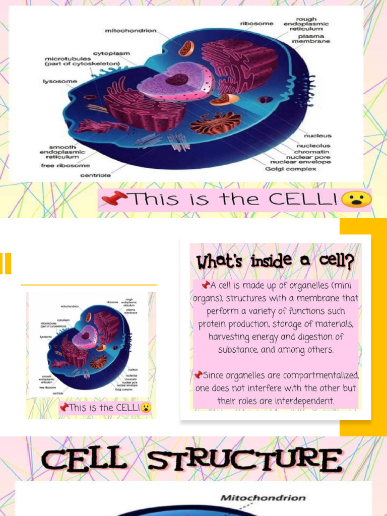 Week1.2 Gen Bio-2 | PDF