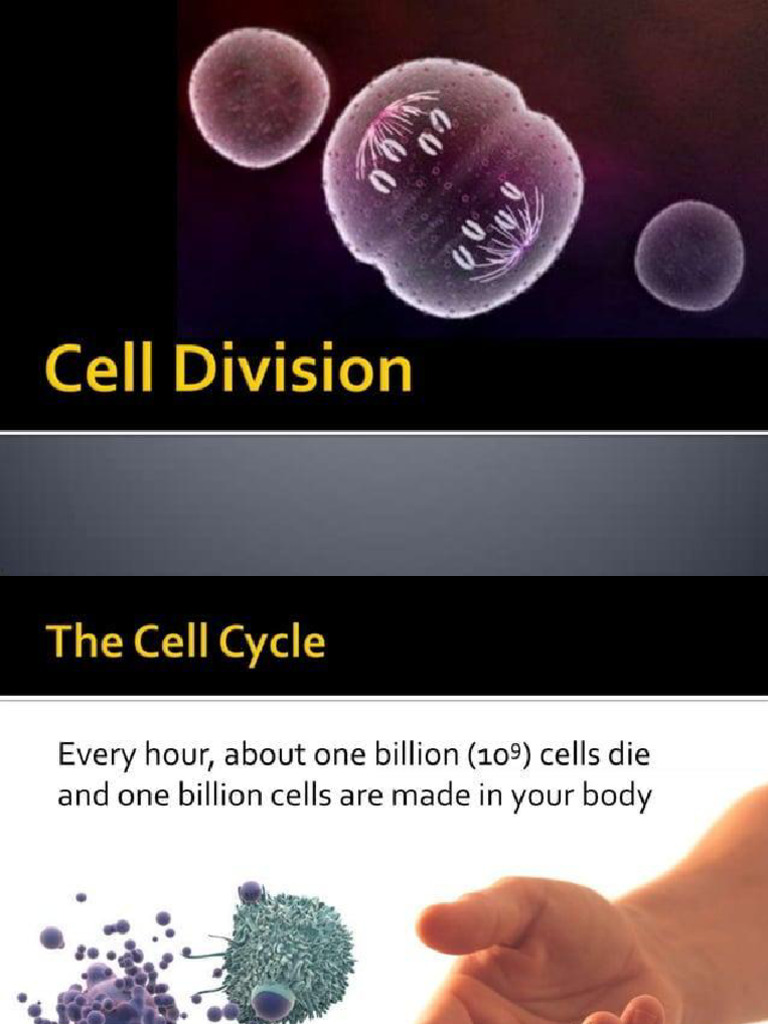Week 3& 4 Gen Bio | PDF