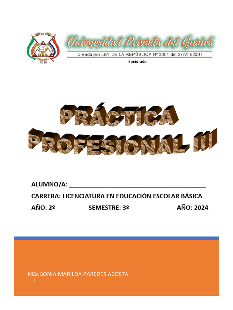 Practica Profesional III | PDF